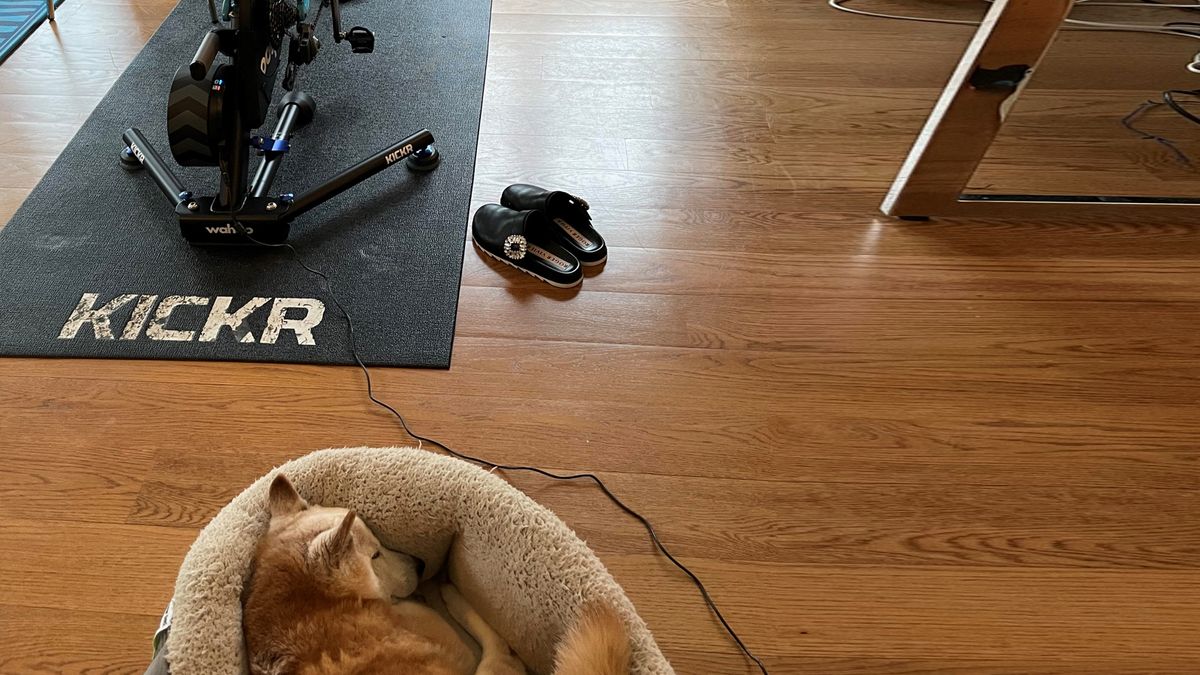 Pro Pain Cave: Kristen Kulchinsky and her portable indoor set-up ...