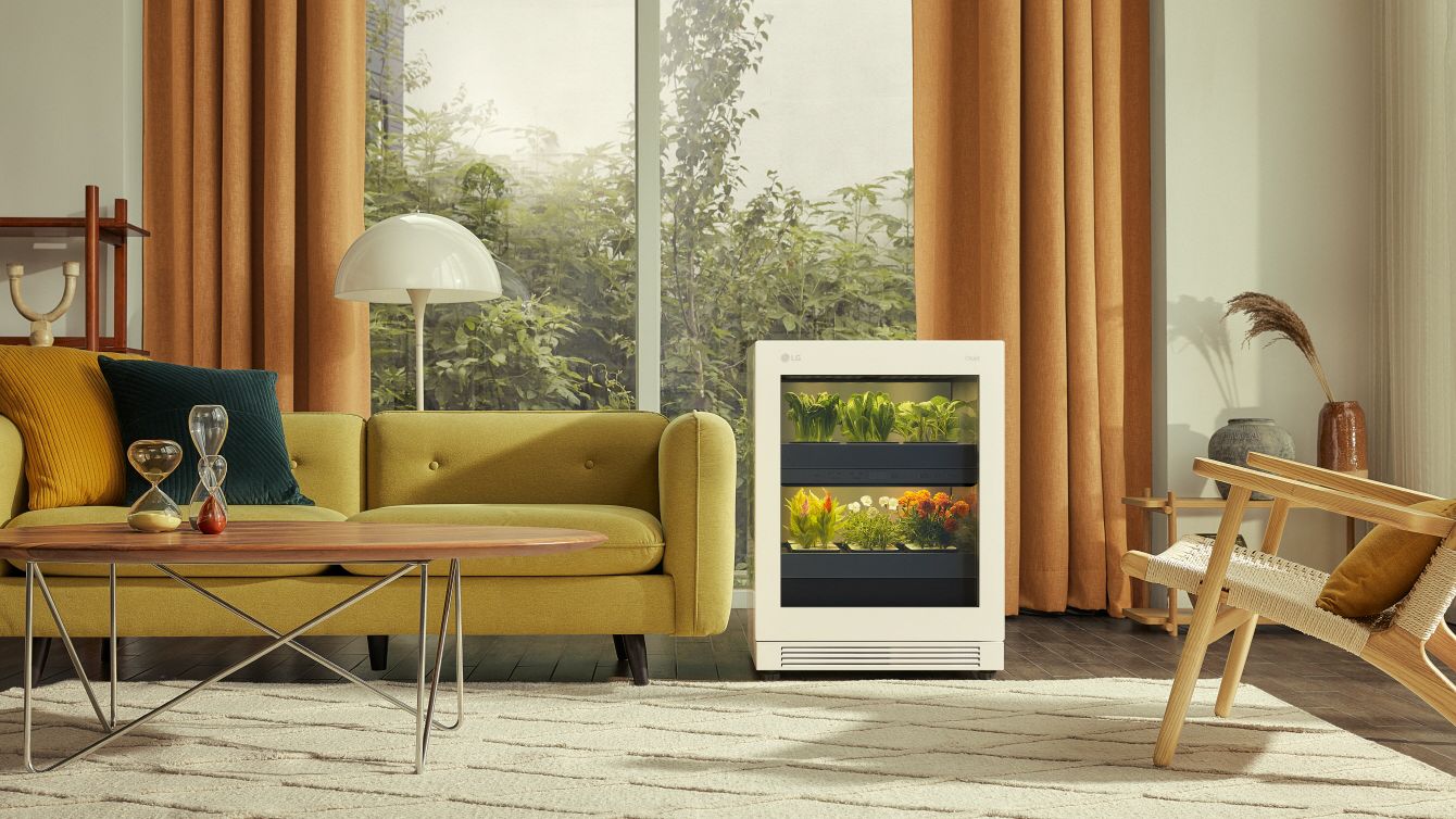 LG's tiiun indoor garden lets you grow vegetables all year | Livingetc