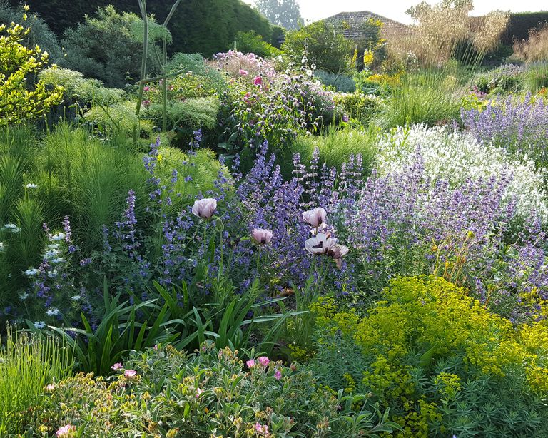 Dry gardens explained - 10 expert tips for a lush landscape | Livingetc