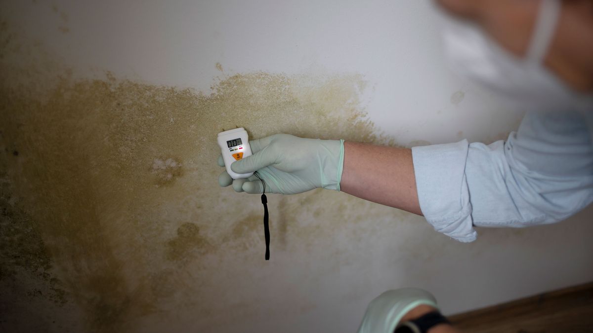 How to treat damp in older houses and keep it away for good | Homebuilding