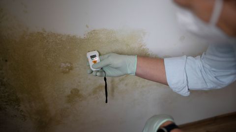 How to treat damp in older houses and keep it away for good | Homebuilding