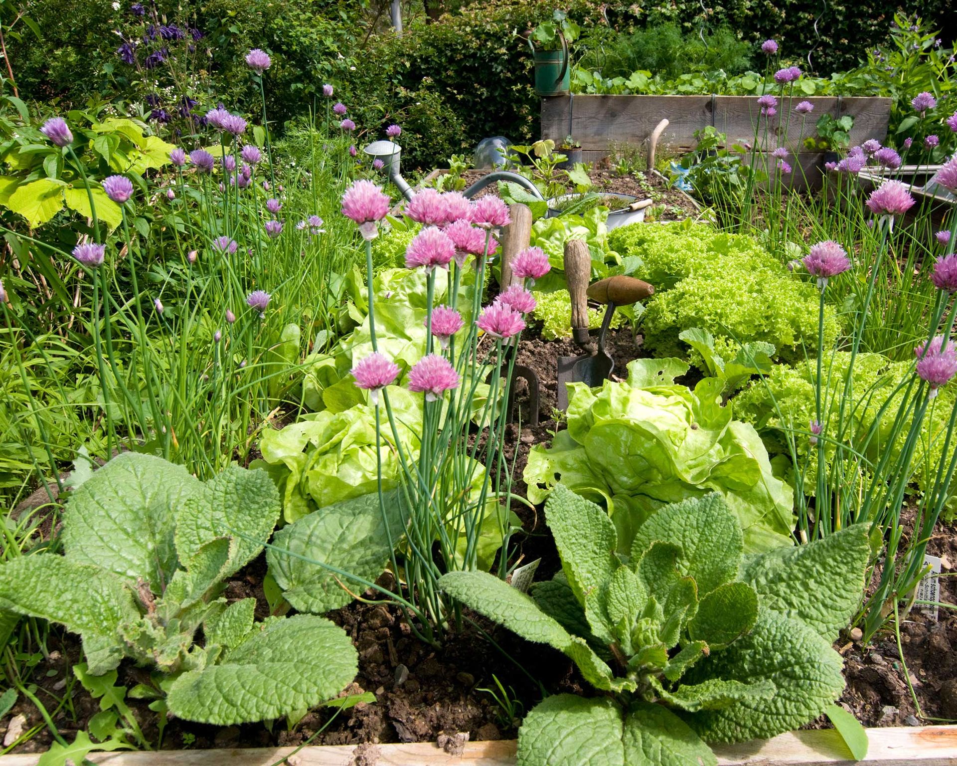 Guide to soil types: discover the best plants for your plot | Gardeningetc