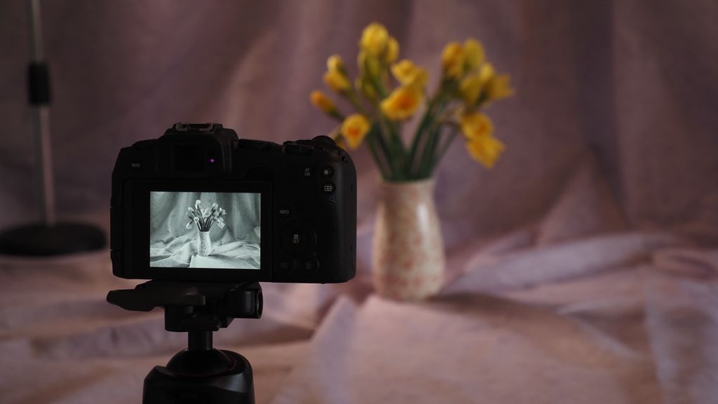 How to get started with black and white photography with a Canon camera ...