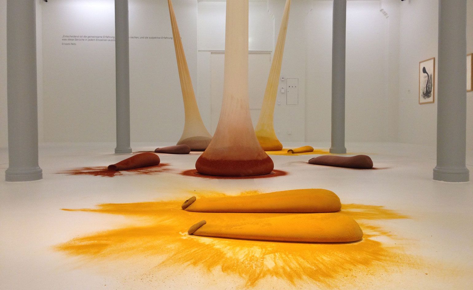 Healing art: a spiritual journey with Ernesto Neto and the Huni Kuin ...