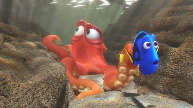 Photos: Meet 'Finding Dory' Real-Life Counterparts | Live Science