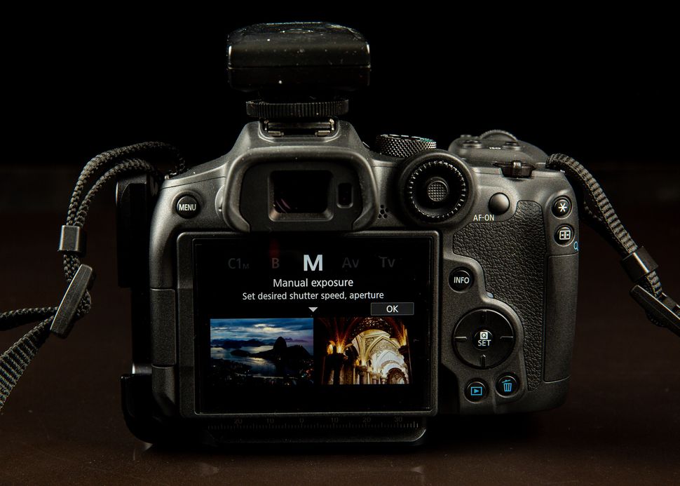 10 tips for superb close-ups: how to shoot macro with studio lighting | Digital Camera World