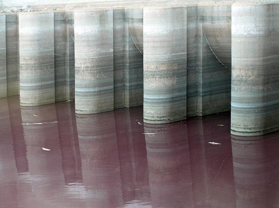 Dried Up: Photos Reveal Devastating Texas Drought | Live Science