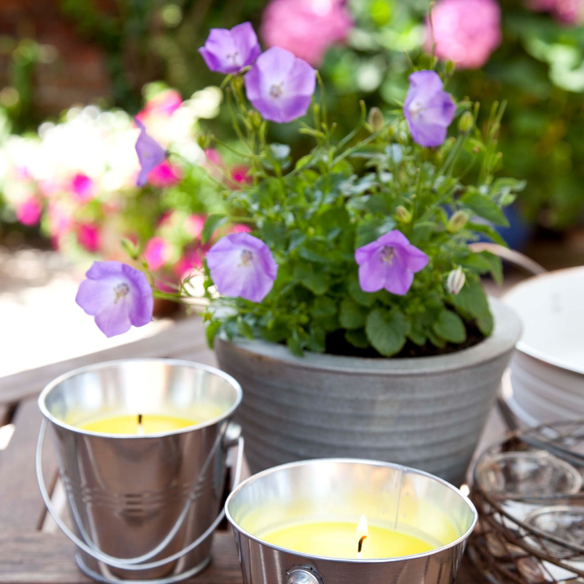 What is overwintering? The key to keeping your plants alive | Ideal Home