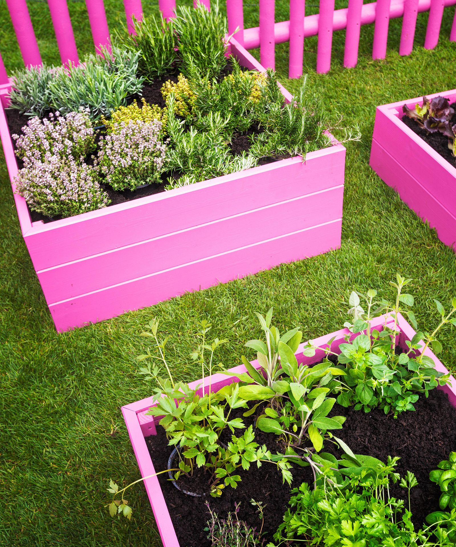 Can you paint a raised garden bed? | Homes and Gardens