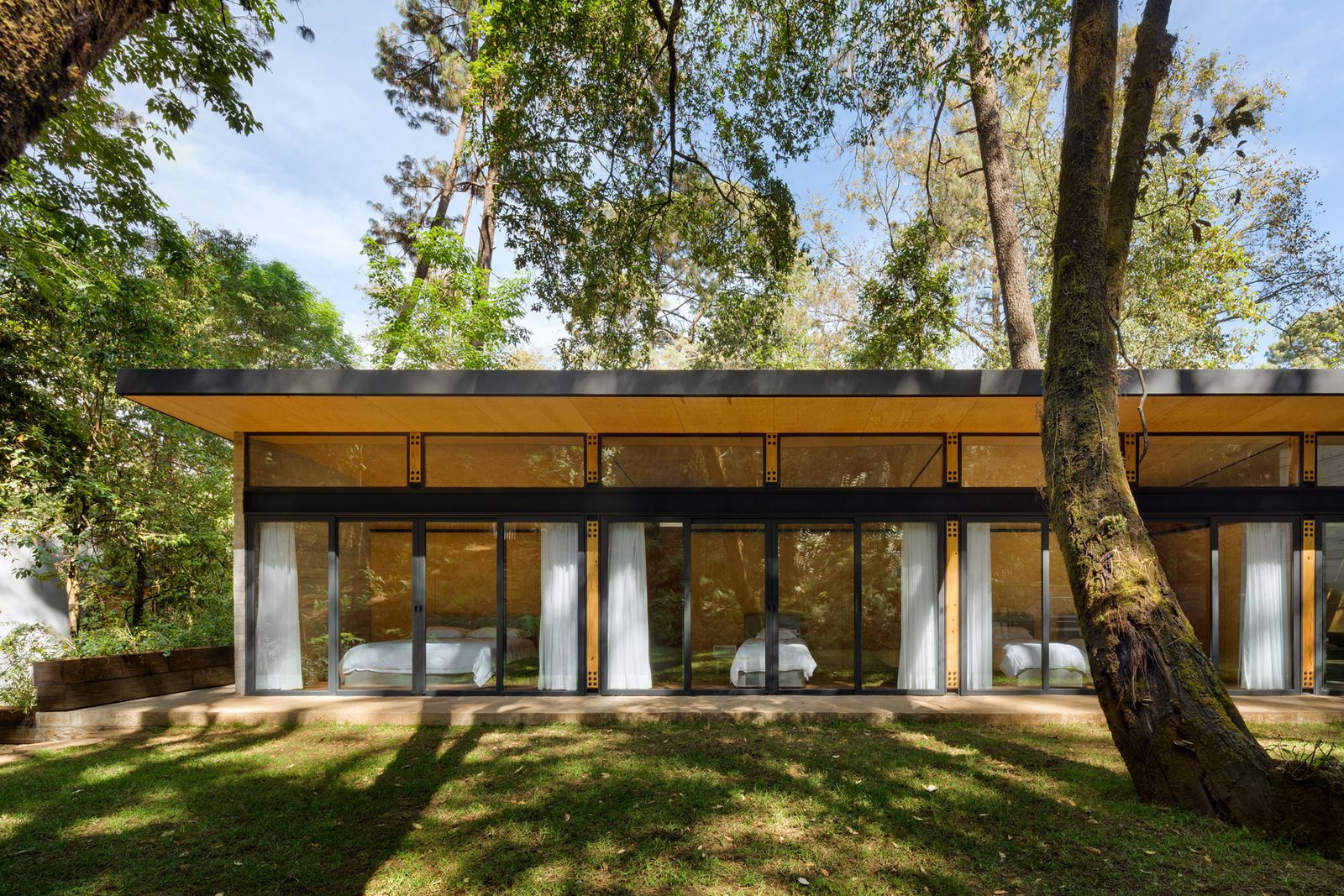Casa El Pinar: showstopping bid for sustainable architecture | Wallpaper