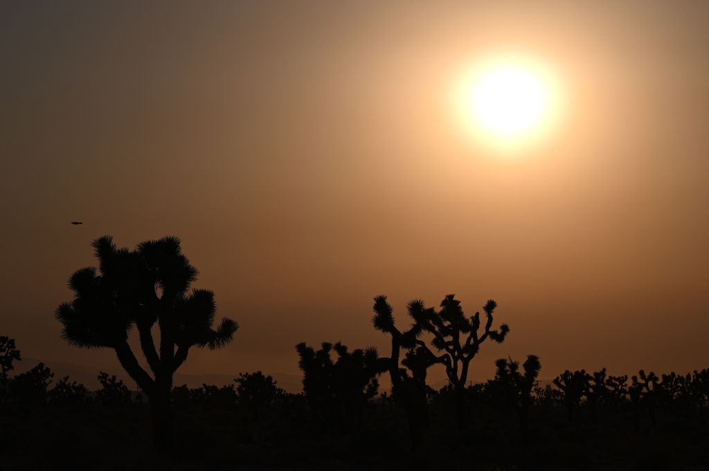 A 'significant and far-reaching' heat wave is coming to the U.S. next ...