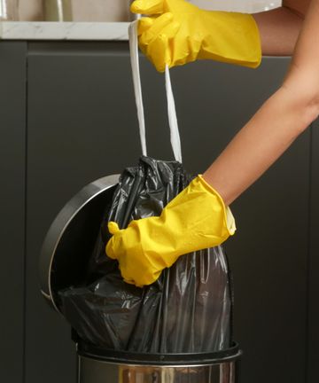 How to get rid of maggots in the house – 5 simple steps | Homes and Gardens