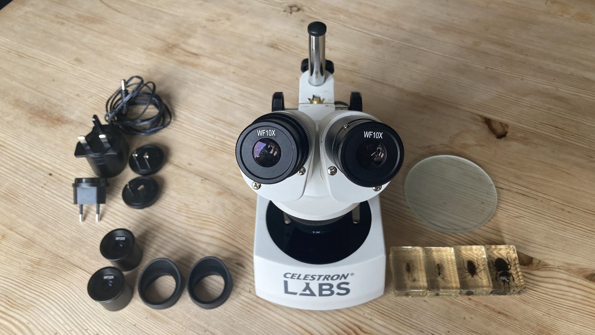 Celestron Labs S10-60 Stereo Microscope review | Live Science