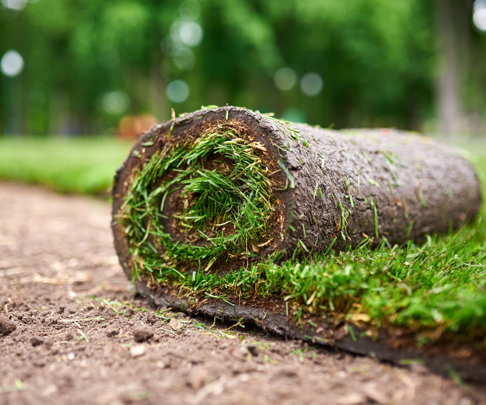 Expert tips for how to lay turf to revamp your backyard | Homes and Gardens