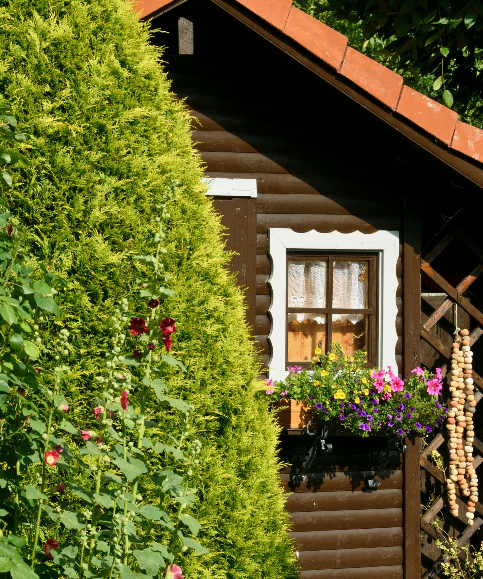 Best plants to cover a shed: 10 inspirational ideas | Homes and Gardens