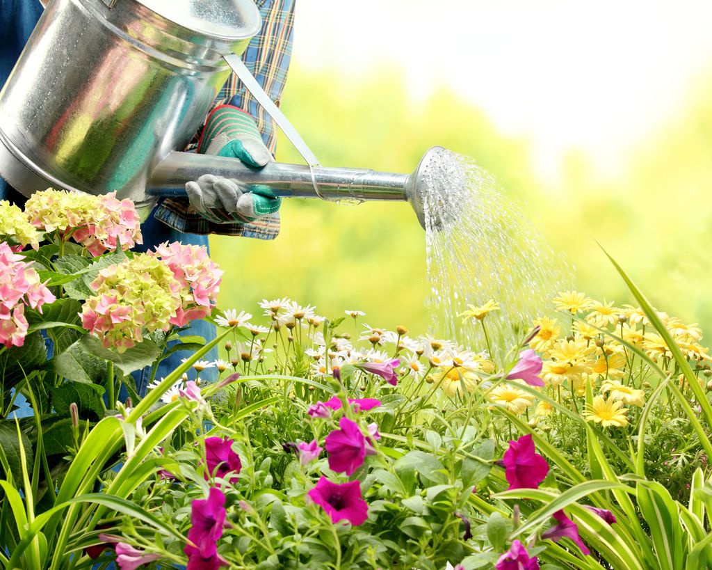 How to start a flower garden - the expert guide | Livingetc