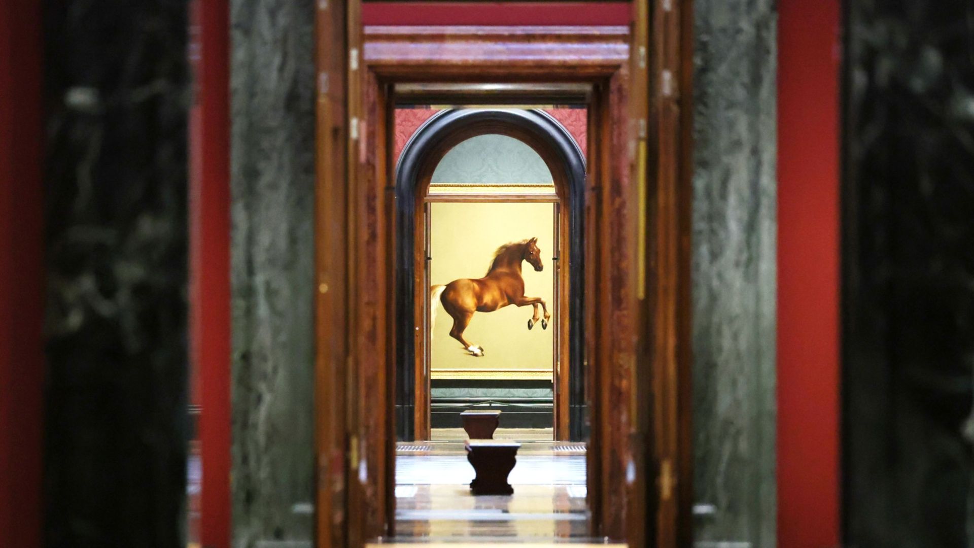 Stubbs: Portrait of a Horse – a small but ‘tasty display’ | The Week