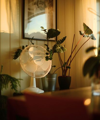 5 tips for making the most out of your fan | Real Homes