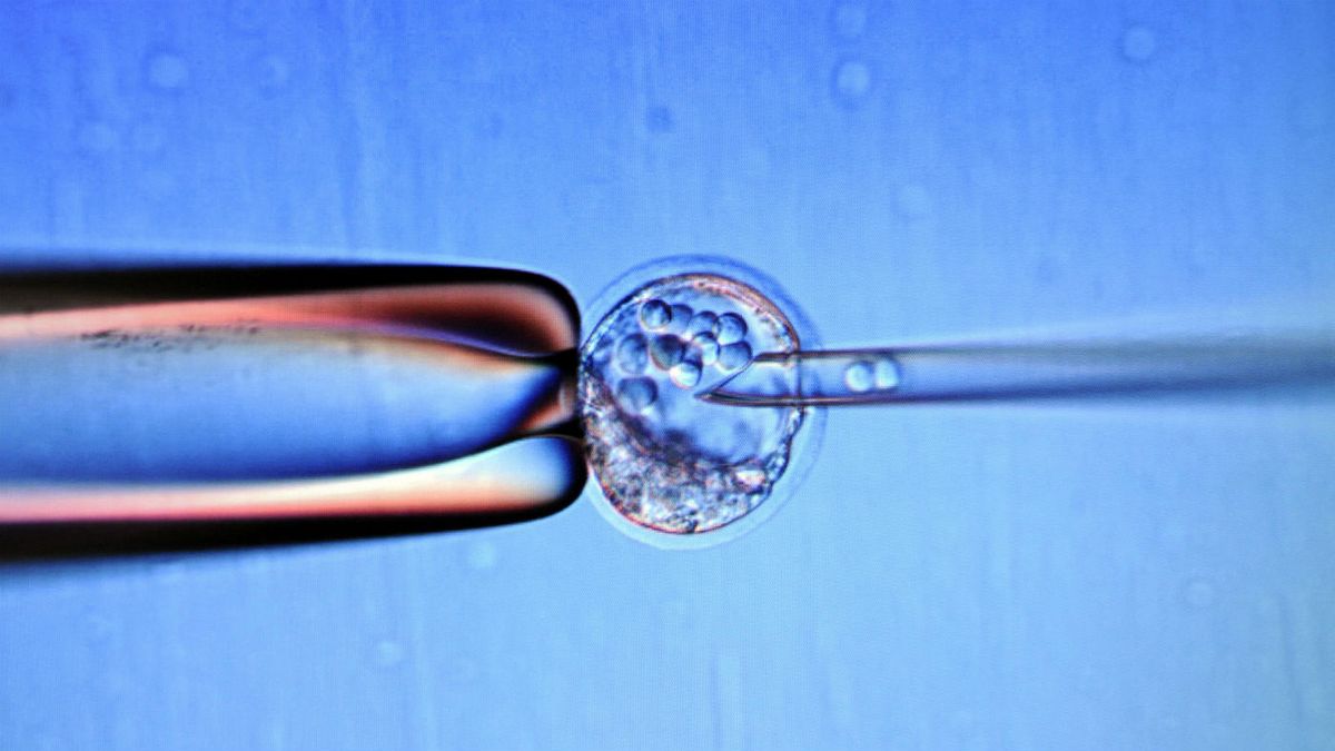World’s first genetically altered babies born in China | The Week