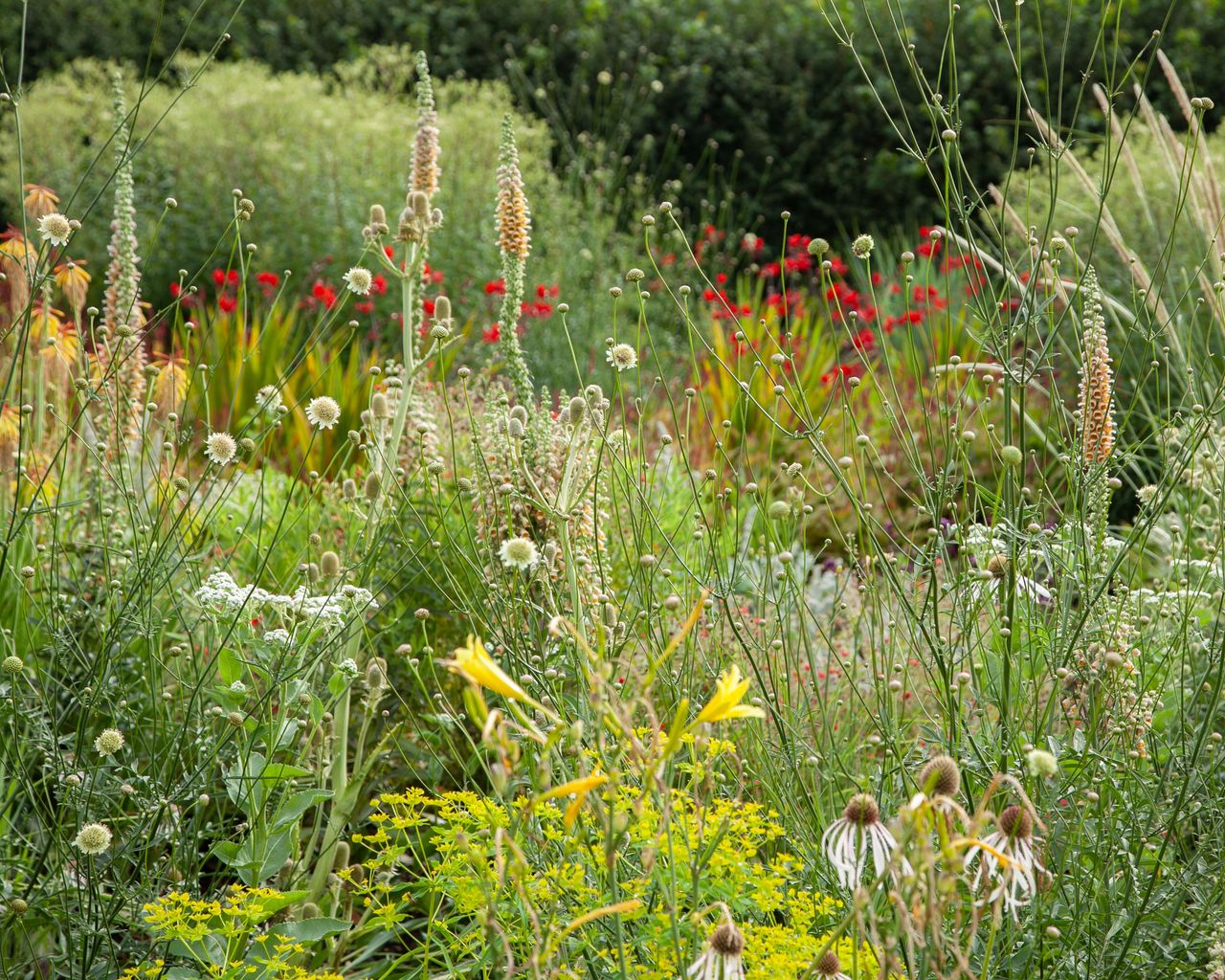 Garden color schemes: how to use color in the garden | Homes and Gardens