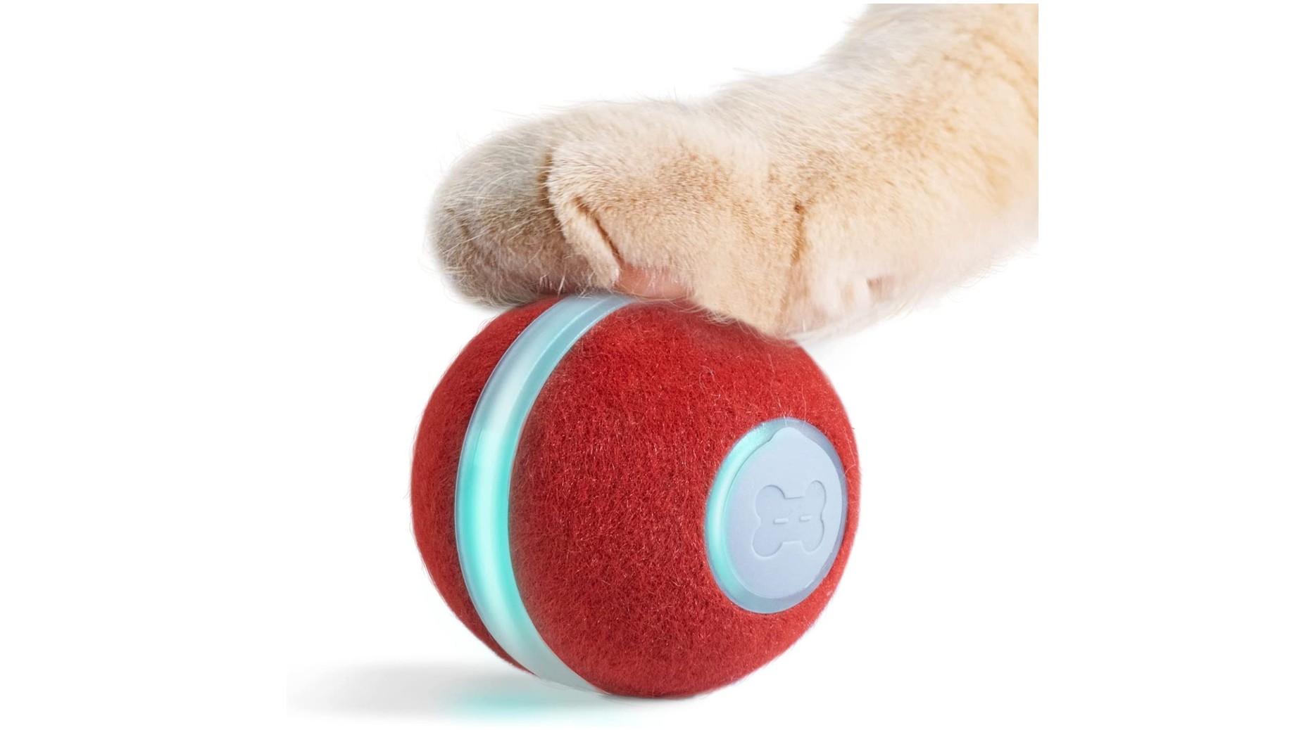 Best automated cat toys 2024 to keep your furry friend entertained ...