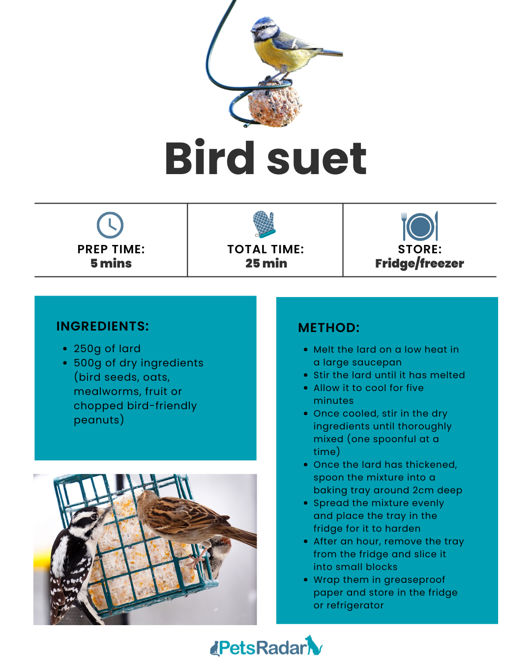 How to make bird suet in 8 simple steps | PetsRadar