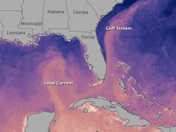 Whats The Loop Current Live Science