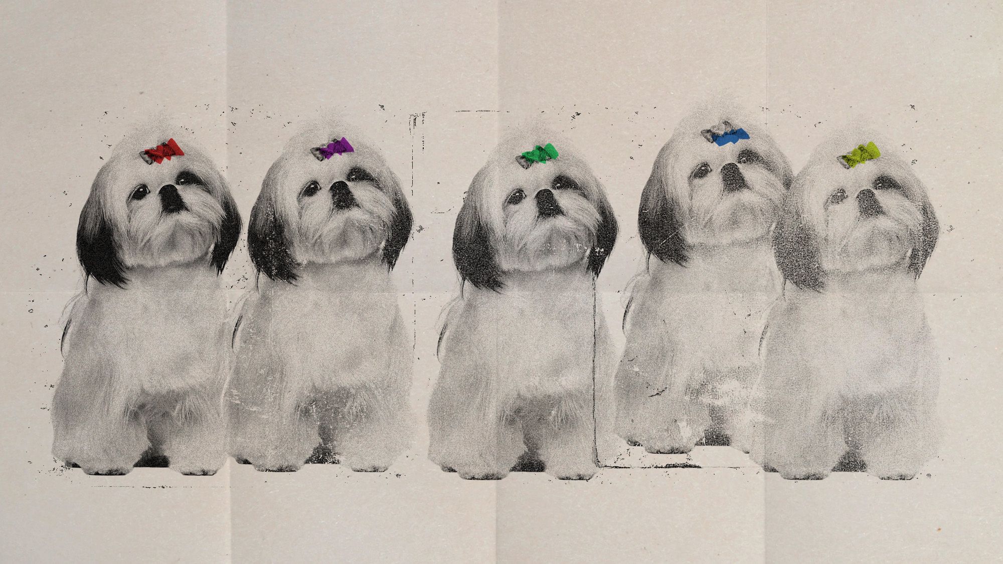 Pet cloning booms in China | The Week