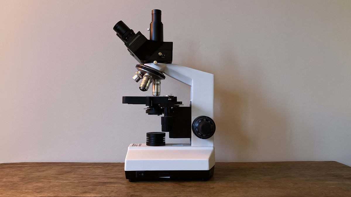 Celestron Labs CB2000C Advanced Biological Trinocular Microscope review ...