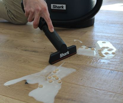 Shark Messmaster Portable Wet/Dry Vacuum: almost perfect | Homes and ...