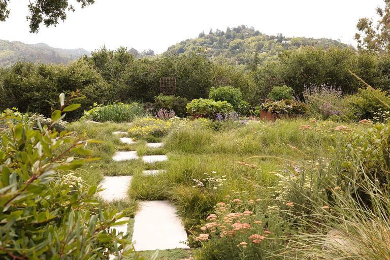 Native Plants Lawn — A Guide From a Sustainable Landscaper | Livingetc