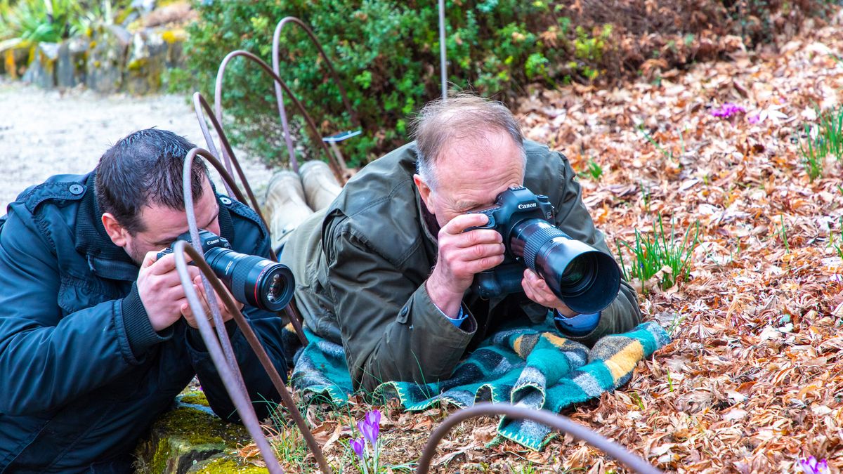 10 tips for amazing close-up photos of flowers with a Canon EOS camera ...