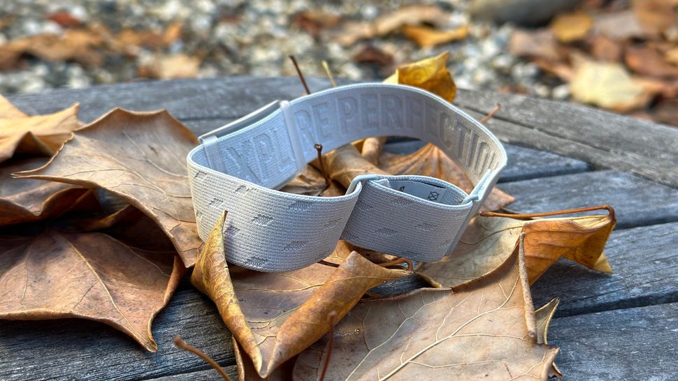 COROS Heart Rate Monitor review: A seamless band I didn't know I needed ...