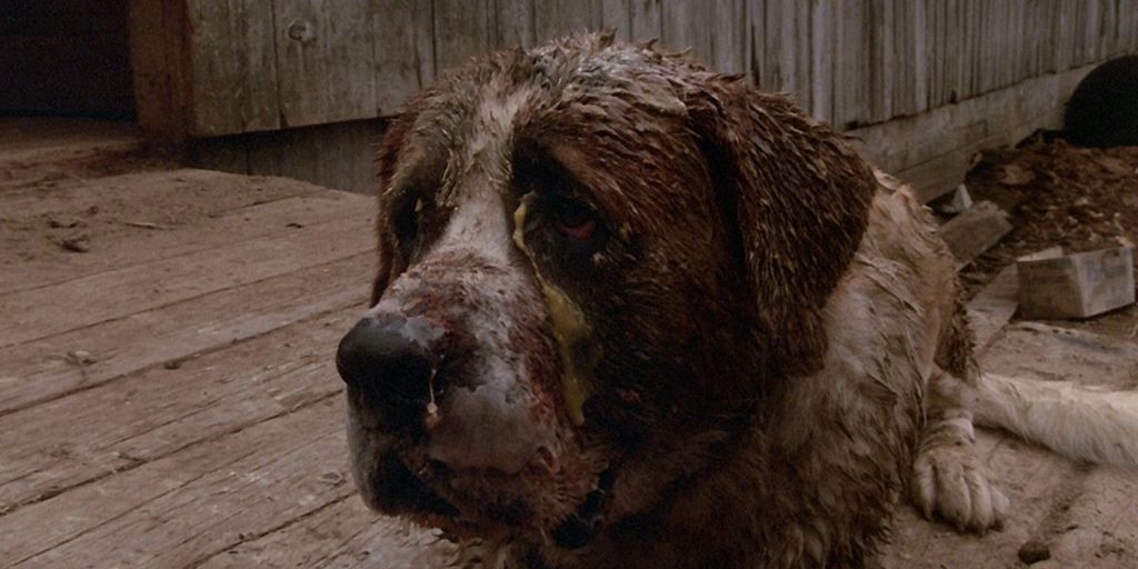 Cujo: 10 Behind-The-Scenes Facts About The Vicious Stephen King Movie ...