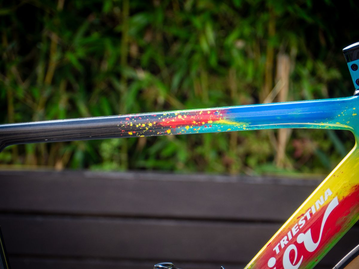 Up close and personal with Mark Cavendish's record breaking custom ...