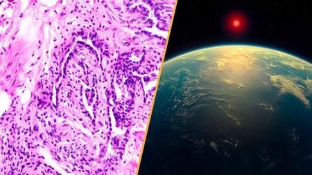 10 Real-Life Technologies That Will Turn You Into a Superhero | Live ...