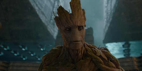 Someone Found Guardians Of The Galaxy's Groot In Real Life, And The ...