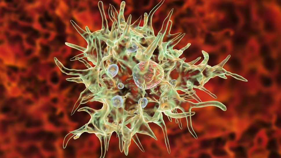 Deadly amoeba brain infection can result from unsafe nasal rinsing, CDC ...