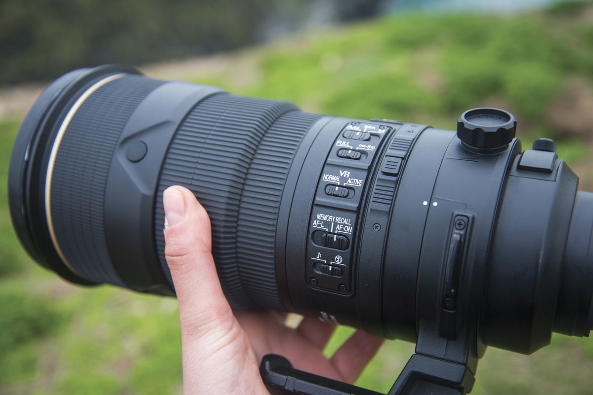 Follow these 6 easy steps for better bird photography | Digital Camera ...