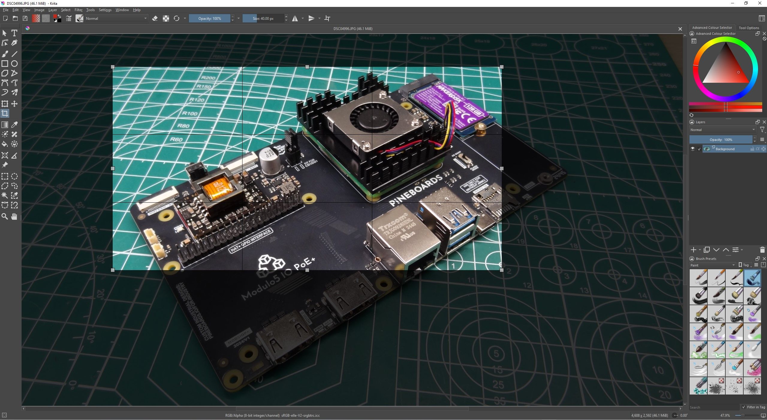 Nvidia is giving away free Adobe Creative Cloud subscriptions with ...
