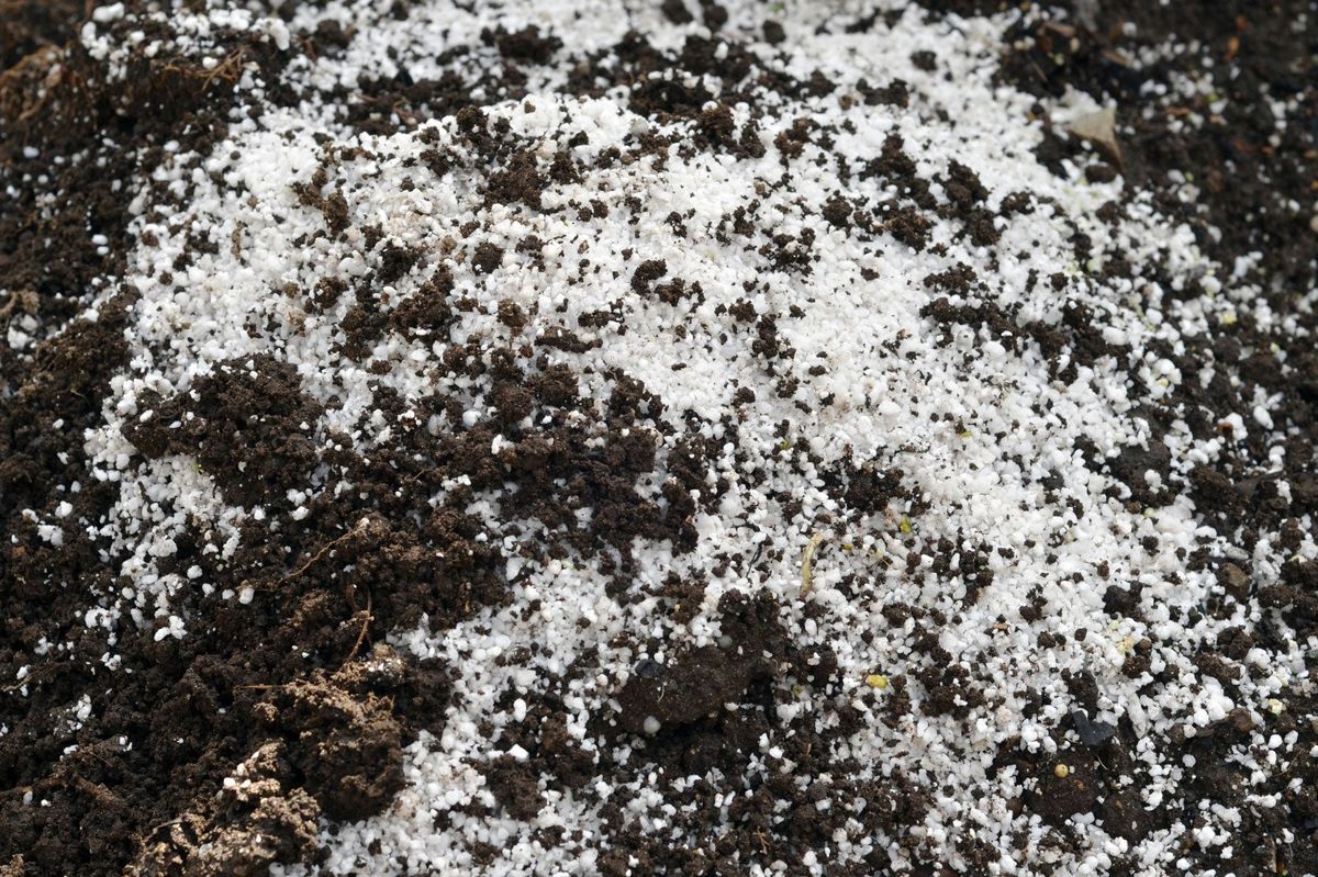 Perlite Soil Info - Information On Growing Plants In Perlite ...