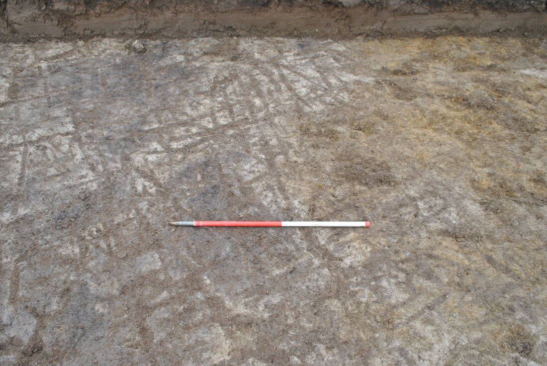 Archaeologists Discover Mysterious 4,000-Year-Old Carved Stones That ...