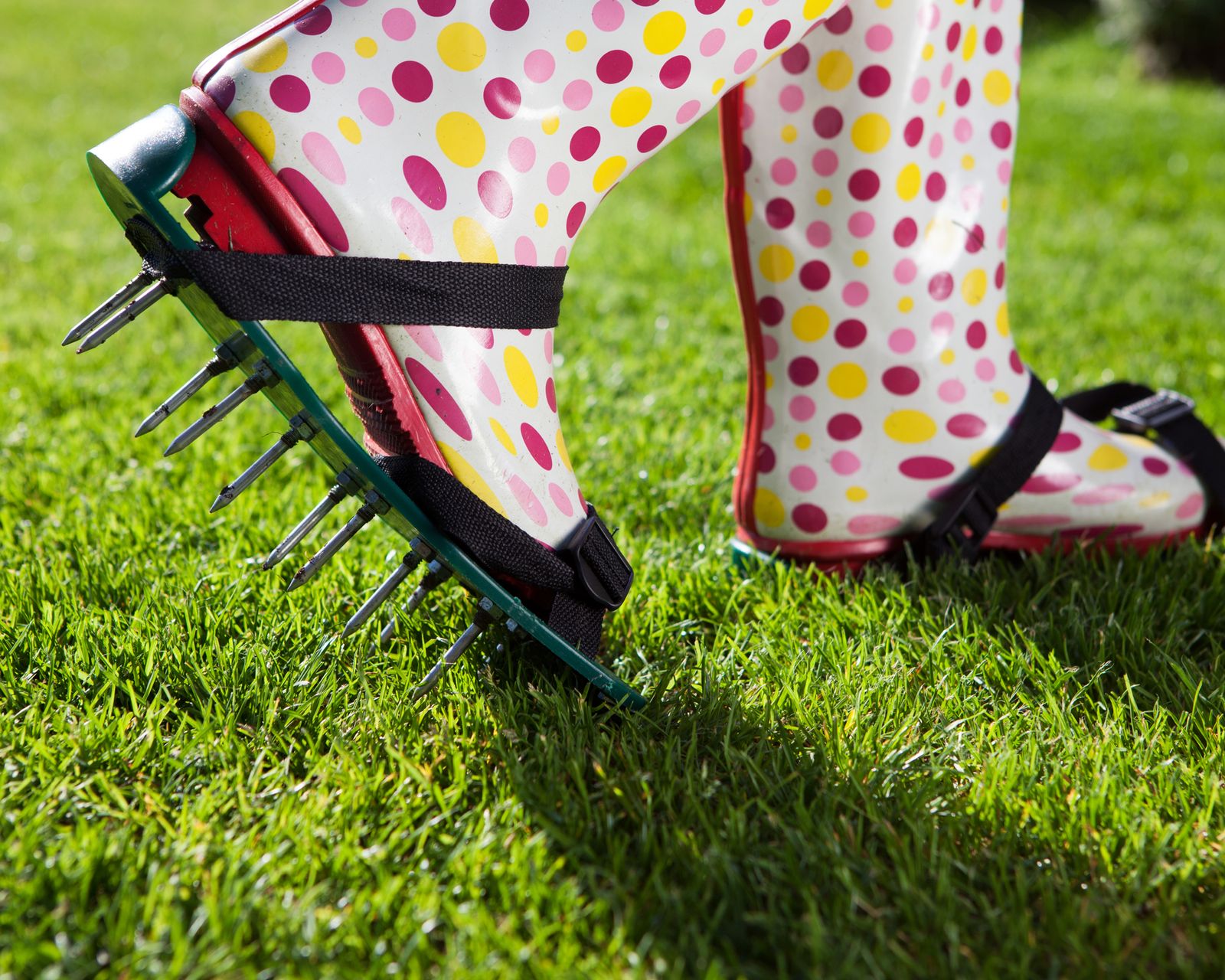 9 ways to prep your lawn for spring | Real Homes