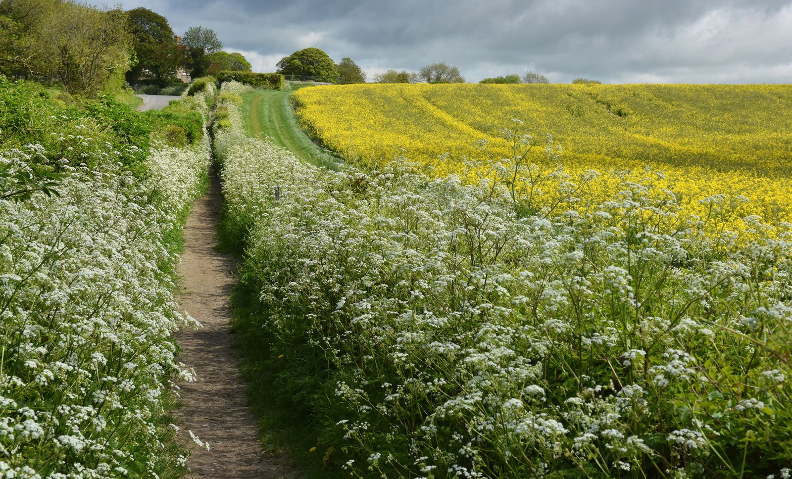 Packing a pinch: Everything you could ever want to know about the UK's ...