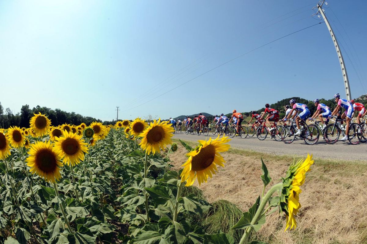 Tasting the Tour from the roadside | Cycling Weekly