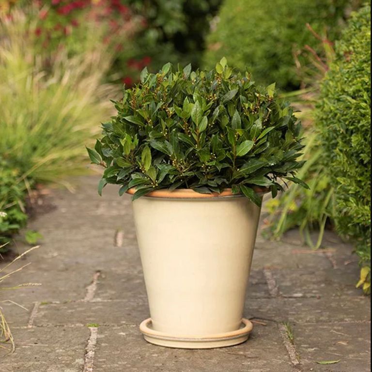 Outdoor Pots - Our Pick of the Best | Ideal Home