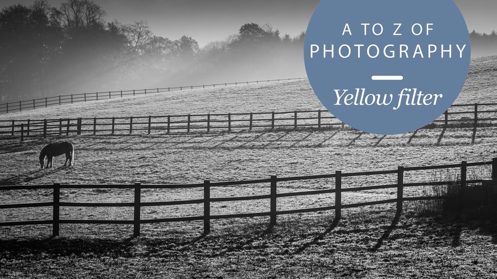 The A to Z of Photography: Yellow filter | TechRadar