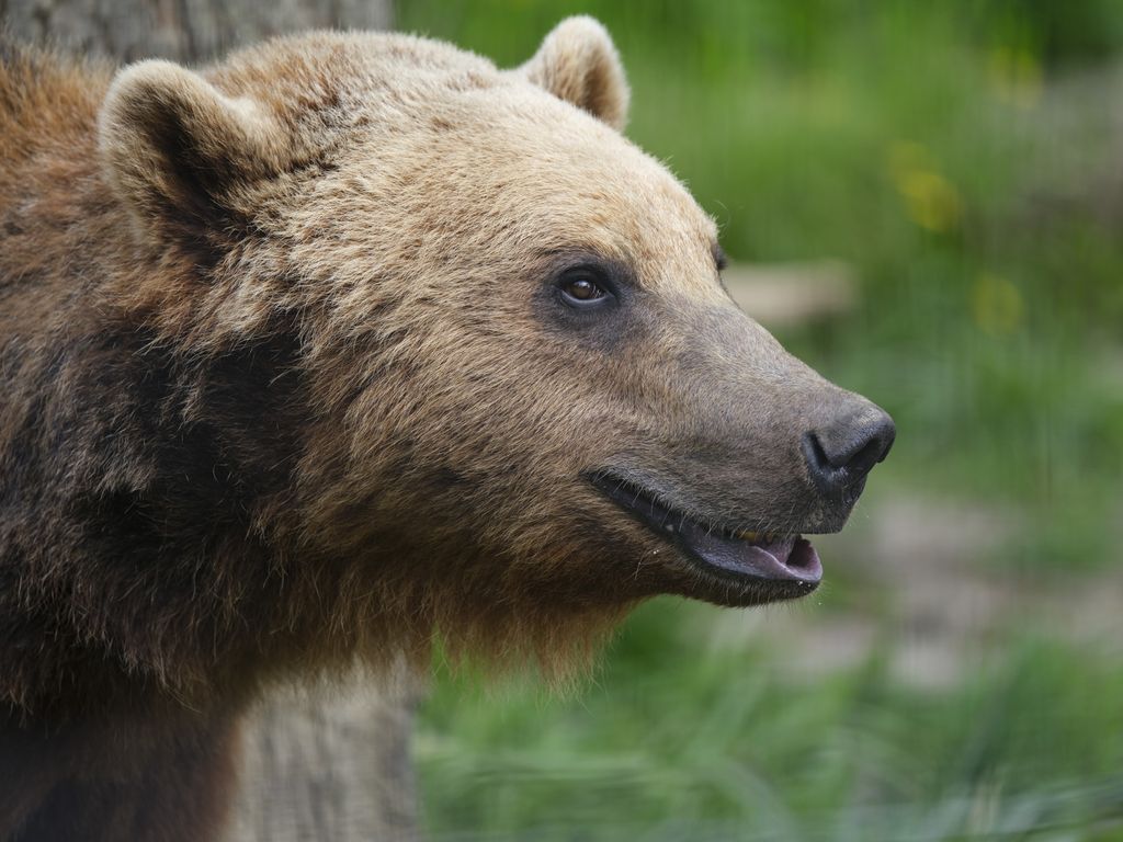 Forget the Fujifilm X100VI – why the leaked GFX100RF is the most exciting camera of 2025 | TechRadar