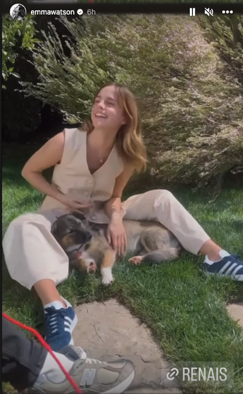 If You Need A Hump Day Pick-Me-Up, Here’s Emma Watson Having An ...