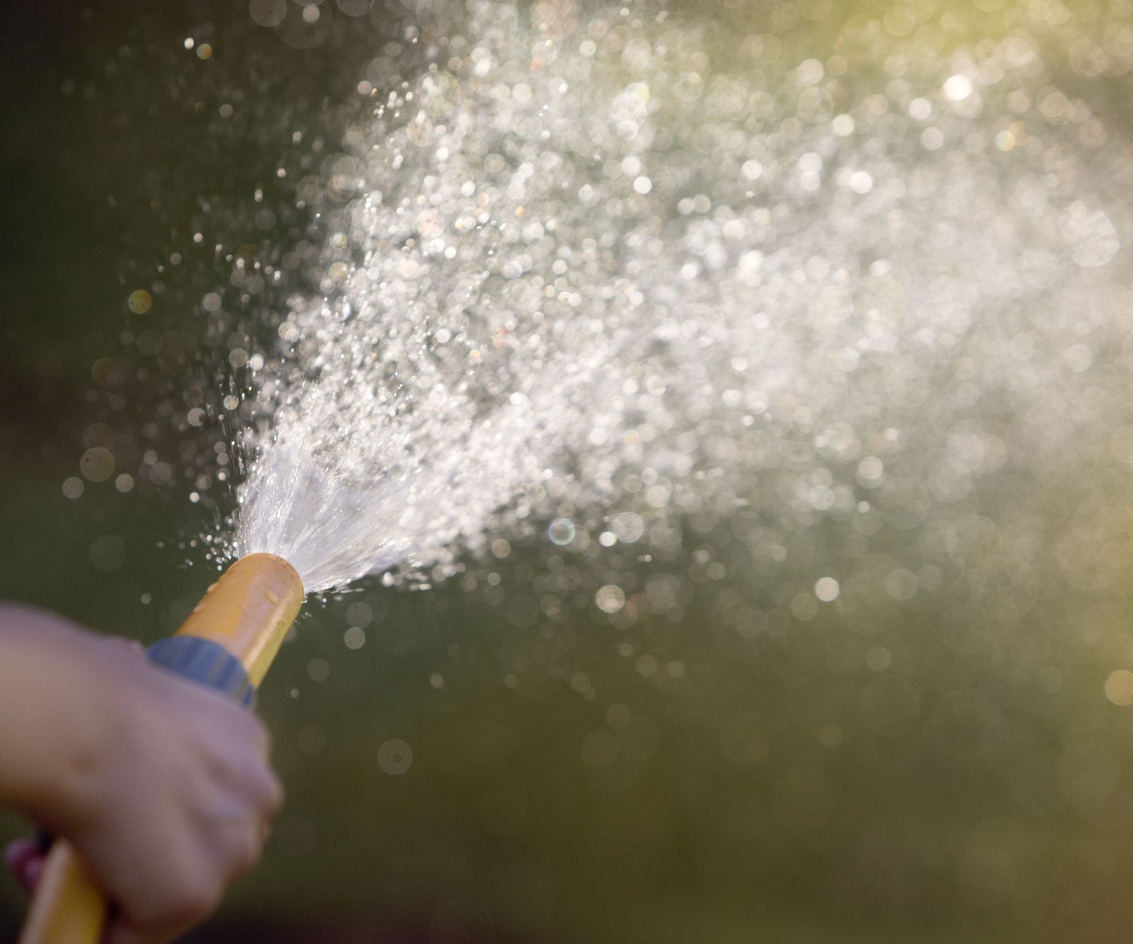 Deep watering: how to have strong, healthy plants | Homes and Gardens